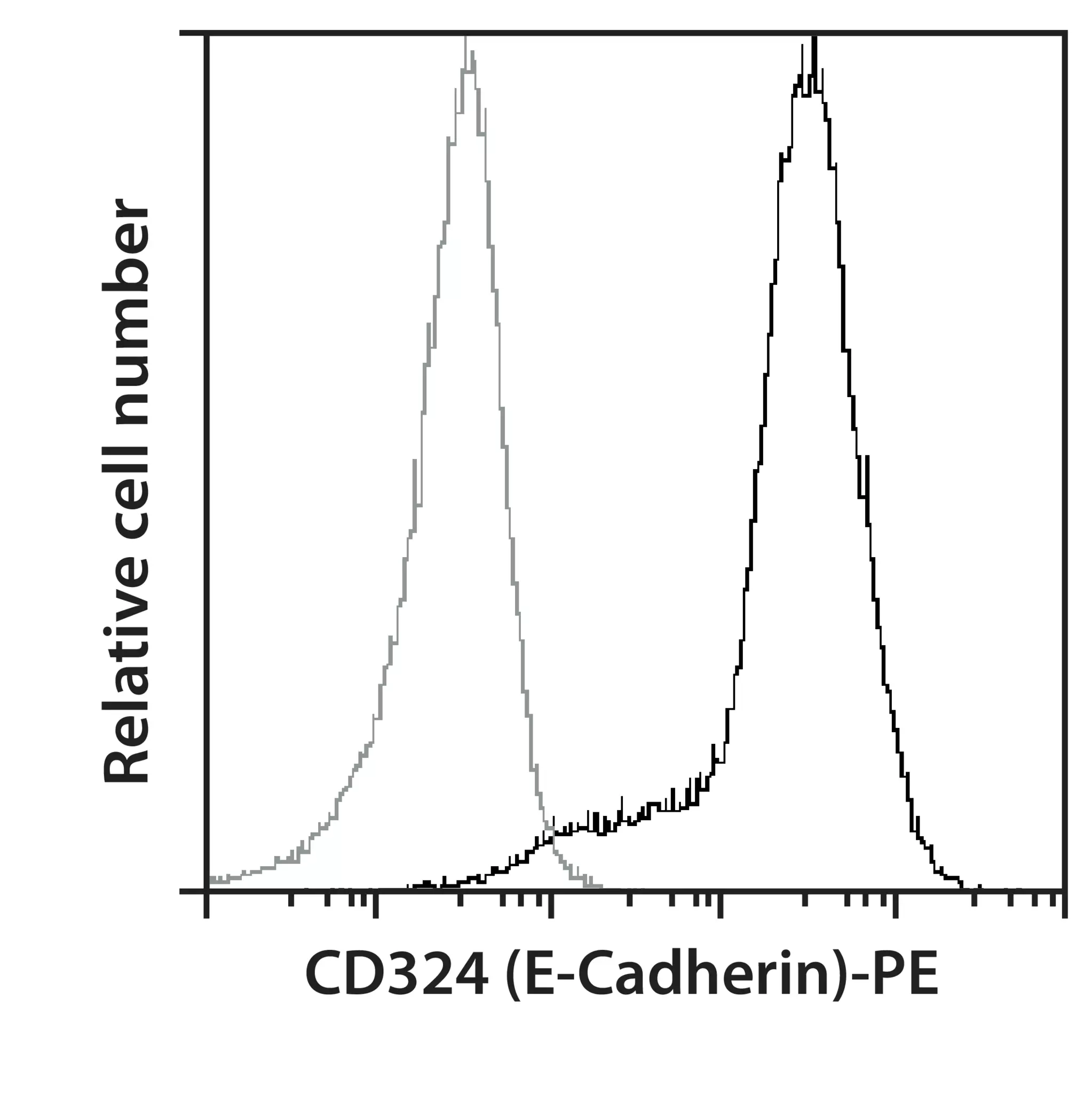 CD324 (E-Cadherin) Antibody, anti-human | Hybridomas | MACS Antibodies ...