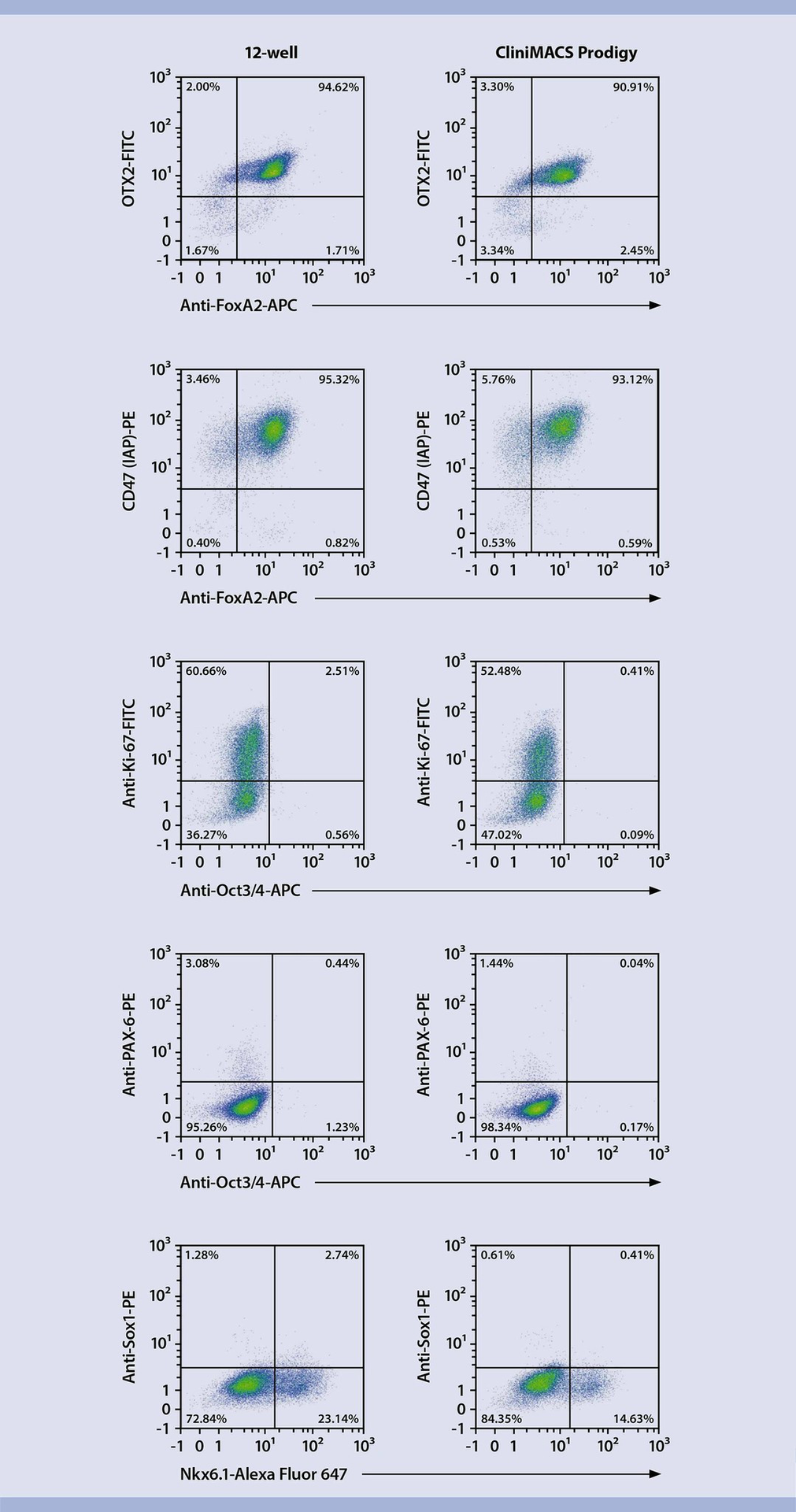Dopaminergic progenitor cells | PSC differentiation | Miltenyi ...