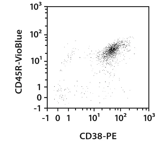 Memory B Cell Isolation Kit, mouse | Miltenyi Biotec | USA