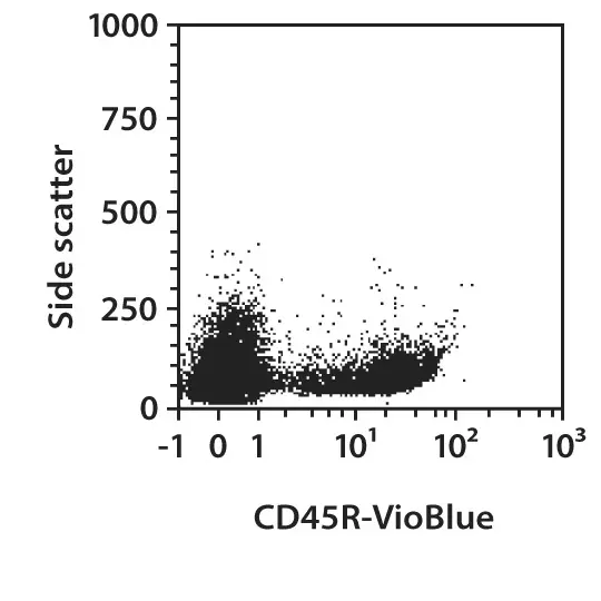 CD45R (B220) Antibody, anti-mouse | Miltenyi Biotec | USA