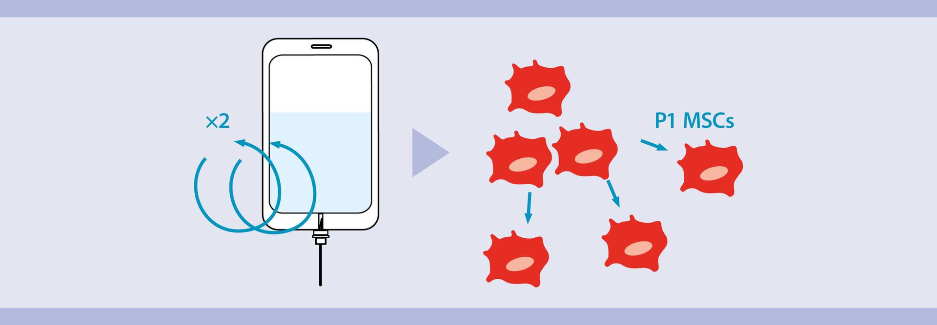 Application | Automated and GMP-compliant mesenchymal stem cell ...