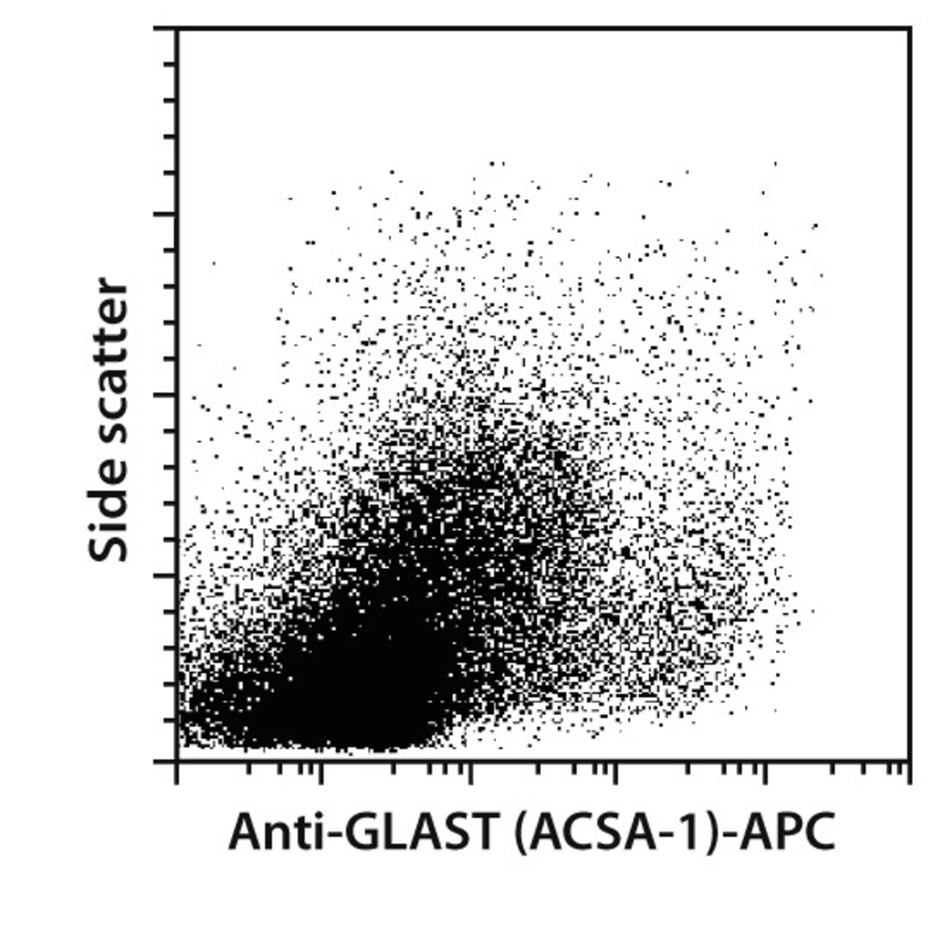 GLAST-positive astrocytes | Isolation and cultivation | Protocol ...