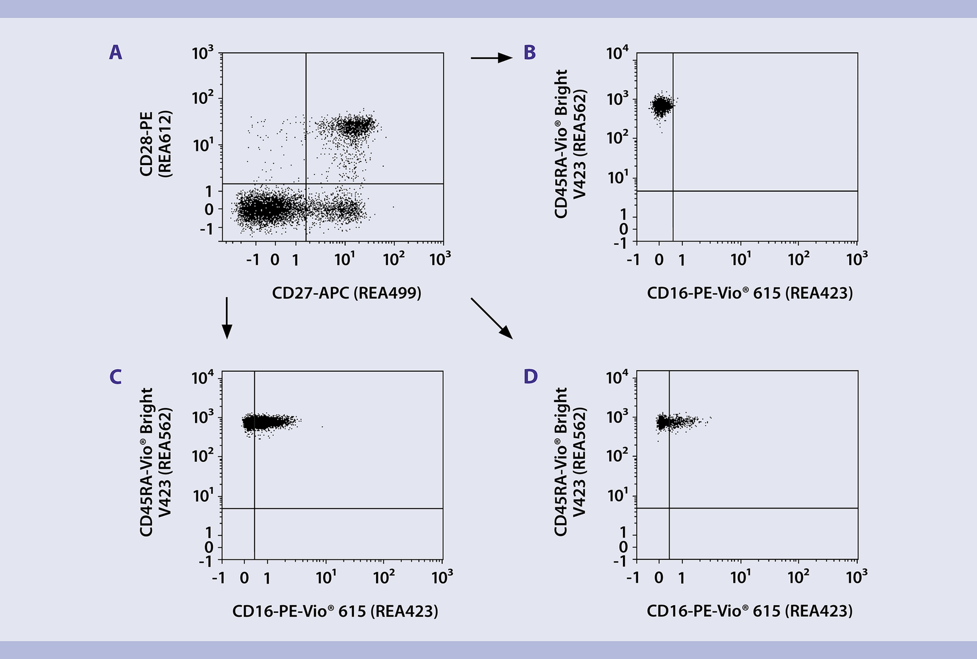Immunophenotyping | human γδ T cells | Protocol | Miltenyi Biotec | USA
