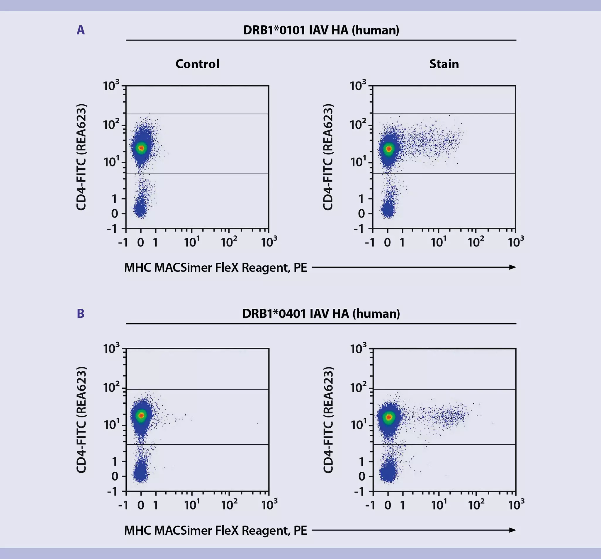 MHC MACSimer DRB1*0701 FleX Kit, human | Miltenyi Biotec | India