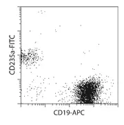 CD43 MicroBeads, human | Miltenyi Biotec | USA