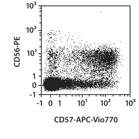 CD57 Antibody, anti-human | Miltenyi Biotec | USA