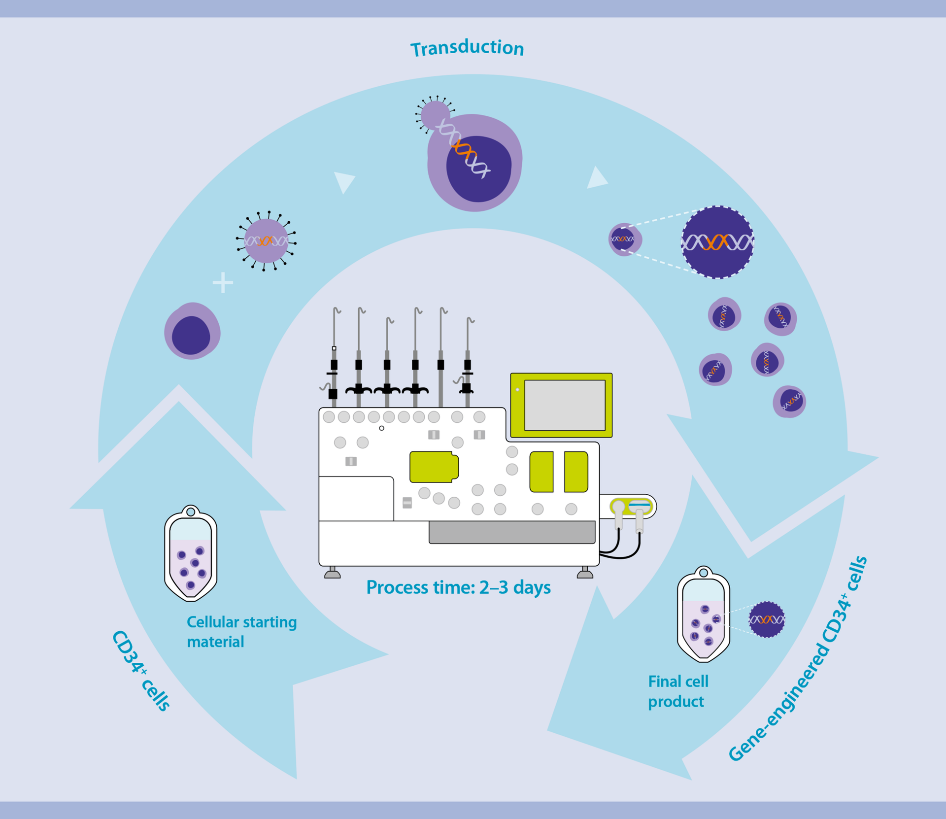 Gene-engineered hematopoietic stem cells | Miltenyi | Miltenyi Biotec | USA