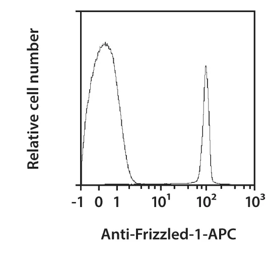 Frizzled-1 Antibody, anti-mouse, REAfinity™ | Miltenyi Biotec | 대한민국