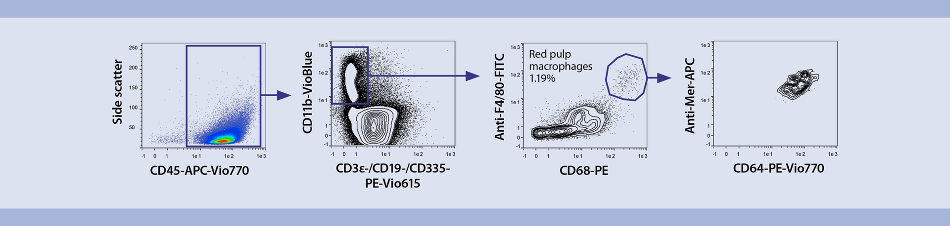 Macrophages | Mouse spleen | Flow cytometry | Miltenyi Biotec | Deutschland