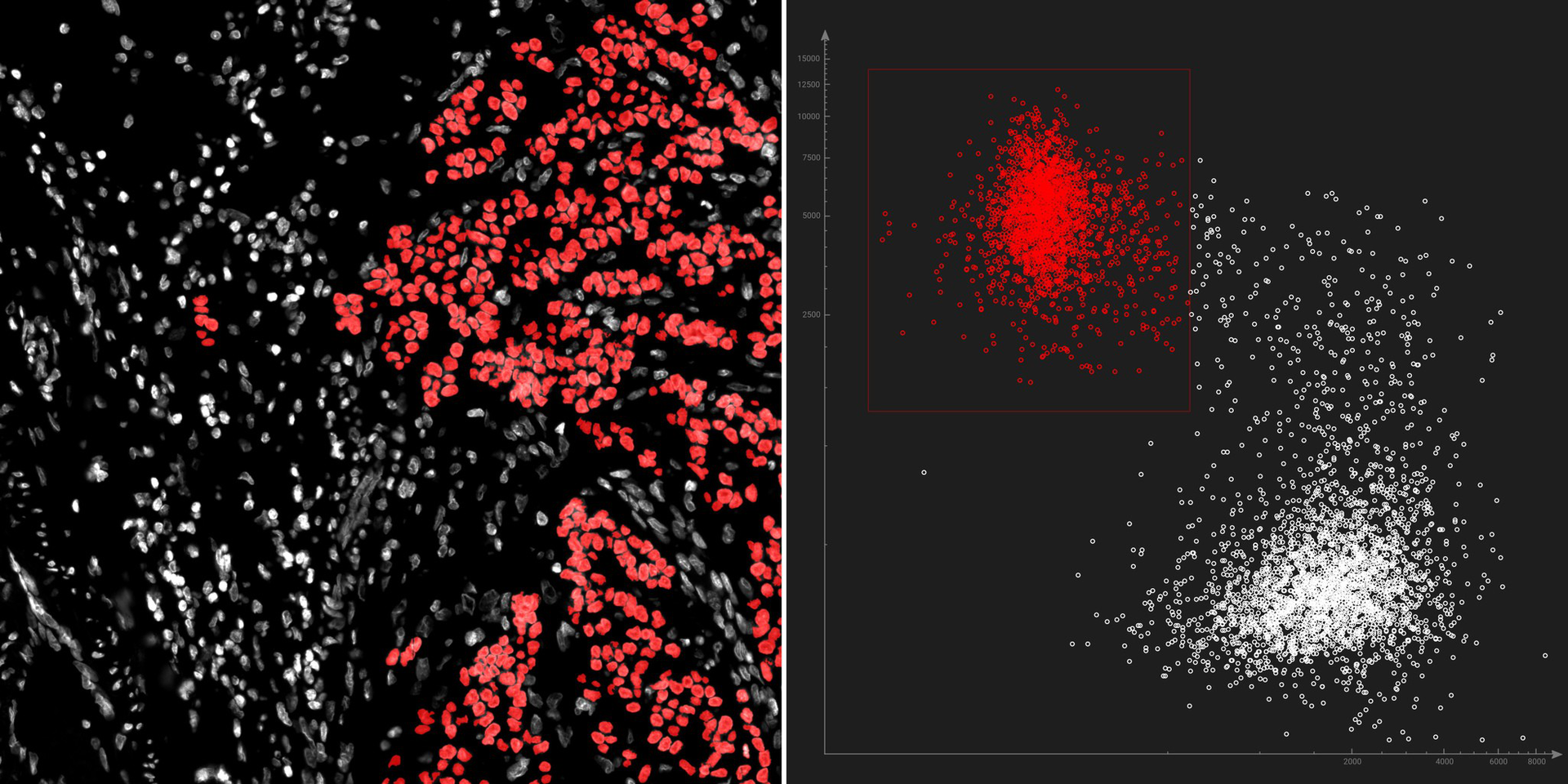 Spatial biology and imaging | Miltenyi Biotec | USA
