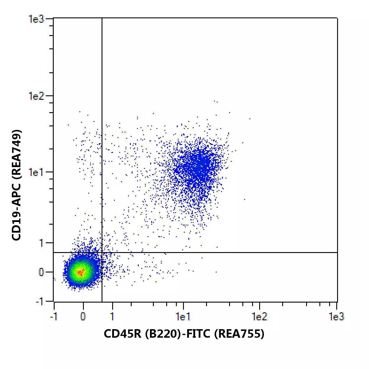 CD45R (B220) Antibody, anti-mouse | Miltenyi Biotec | Hong Kong