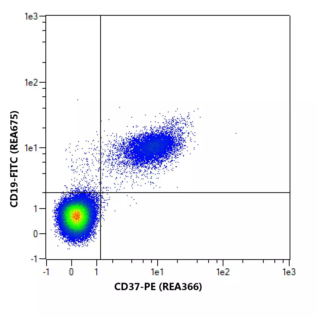 CD37 Antibody, anti-human, REAfinity™ | Miltenyi Biotec | India