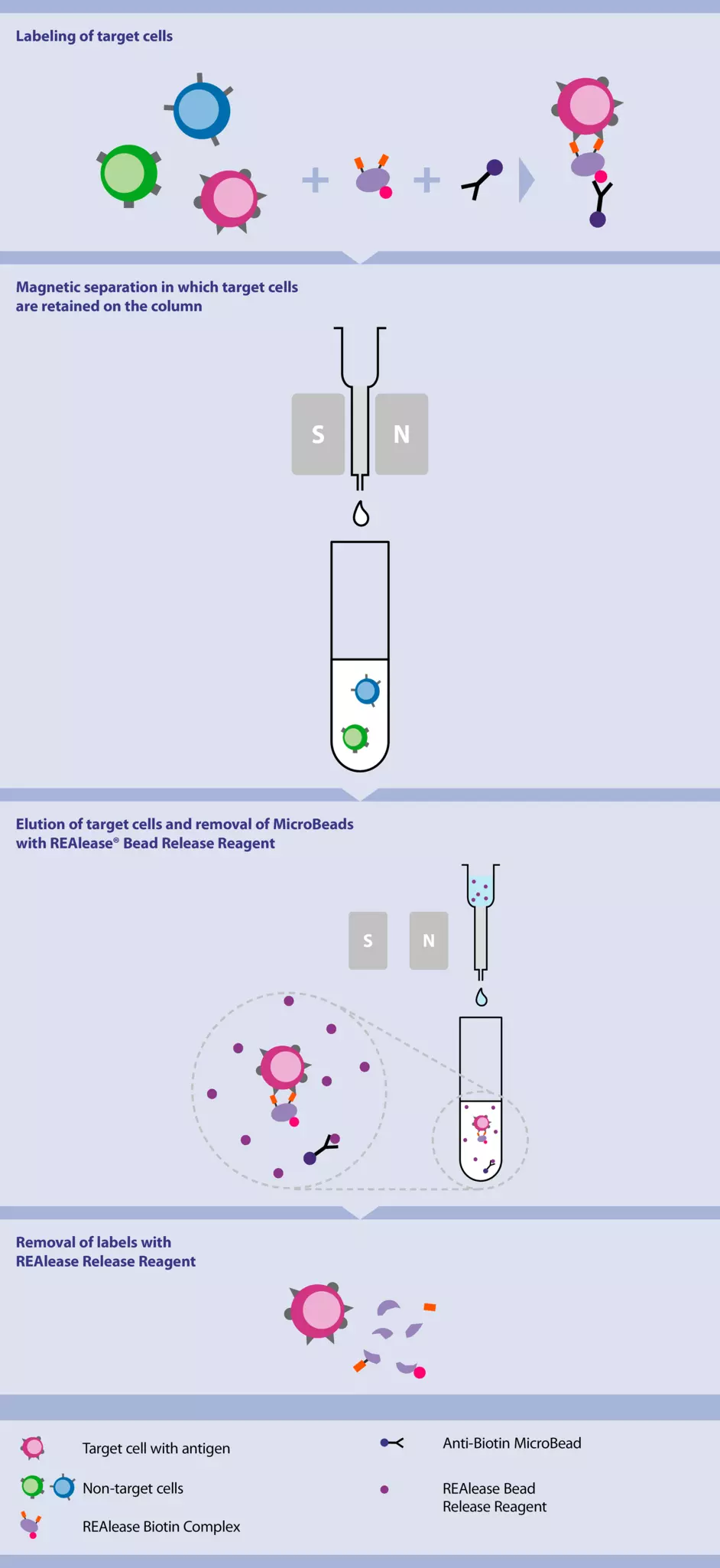 StraightFrom® Buffy Coat REAlease® CD3 MicroBead Kit, human | Miltenyi ...