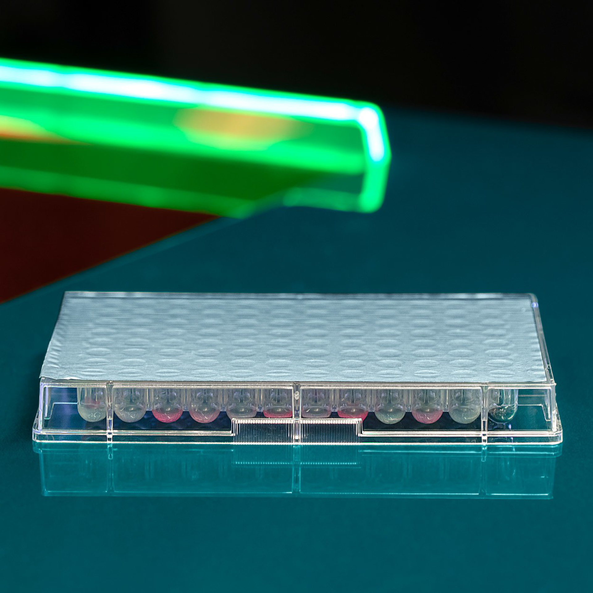 Customized antibody panels | MACSima ultra high content imaging ...