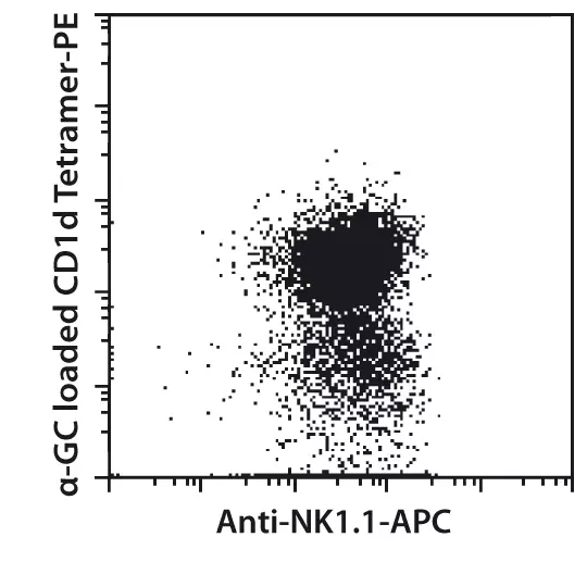 NK1.1+ iNKT Cell Isolation Kit, mouse | Miltenyi Biotec | USA