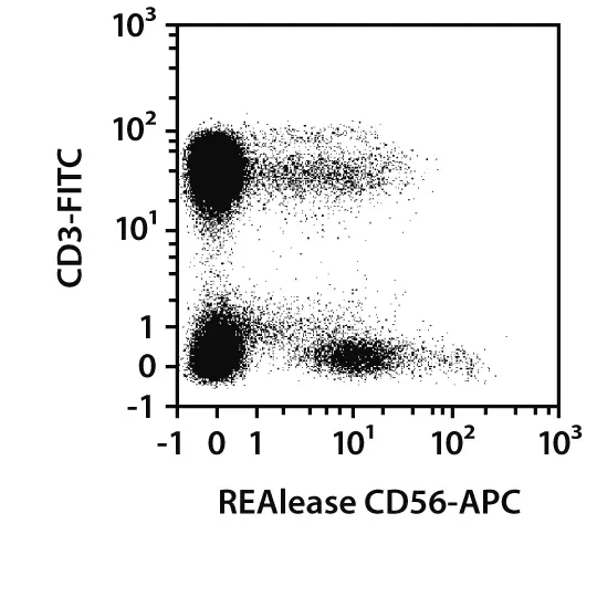 CD56 Antibody, anti-human, REAlease® | Miltenyi Biotec | USA