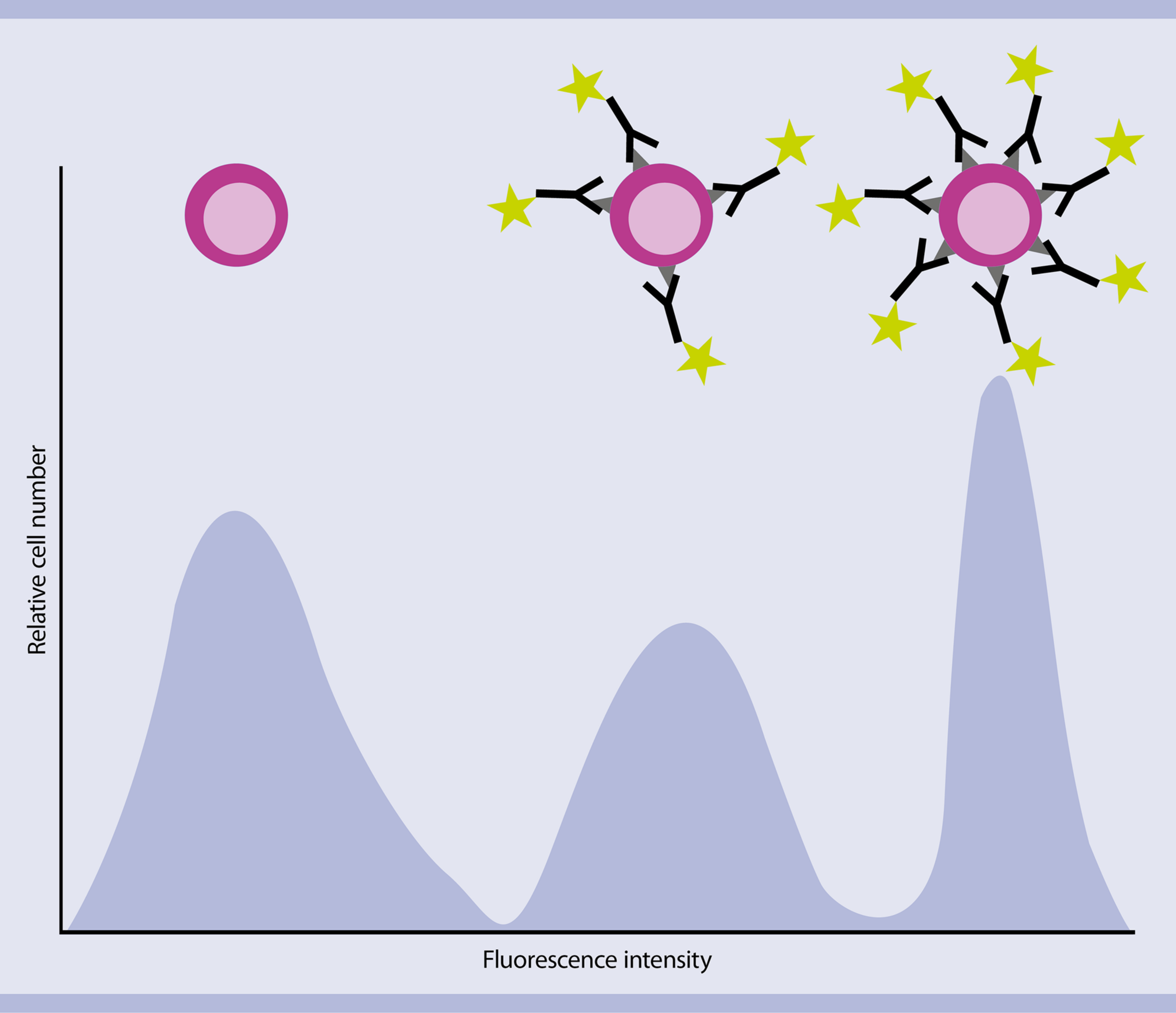 Flow cytometry basics | Miltenyi Biotec | USA