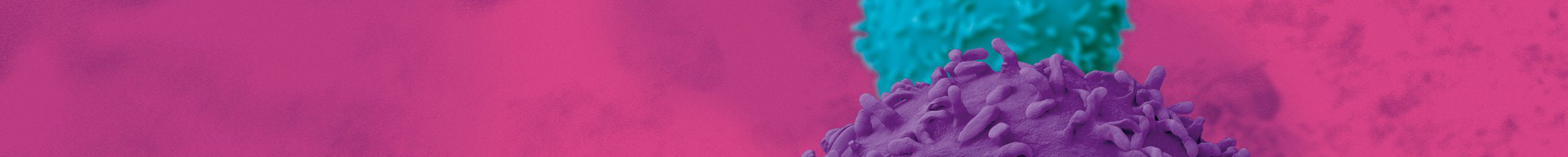 Immune cell culture | T cell, dendritic, NK cell culture media ...