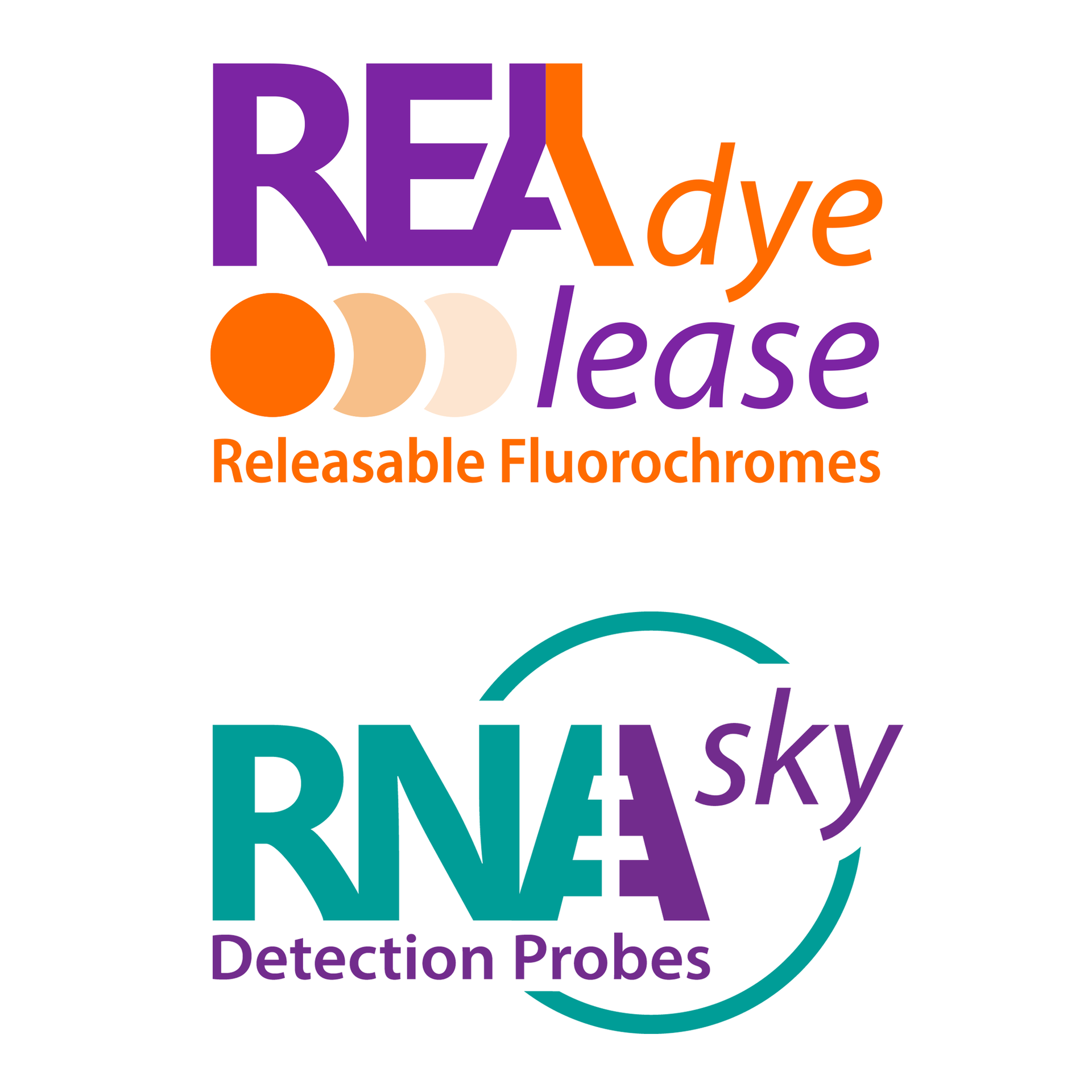 MICS technology | Cyclic staining |Cell & tissue imaging in spatial ...