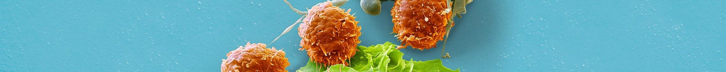 Gene-modified cells | Miltenyi Biotec | 대한민국