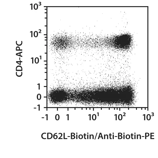 CD62L Antibody, anti-mouse, REAfinity™ | Miltenyi Biotec | USA