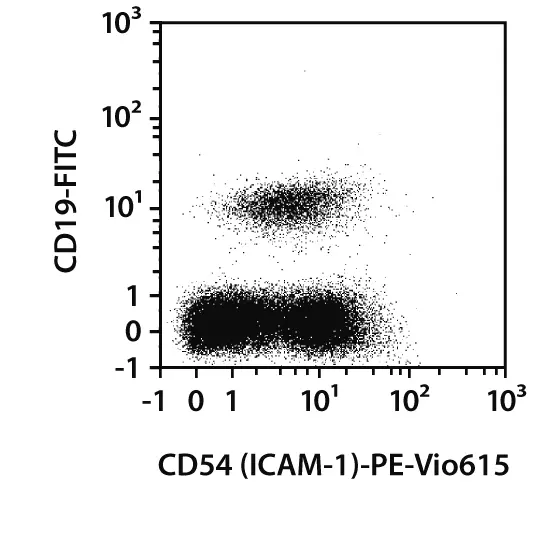 CD54 (ICAM-1) Antibody, anti-human, REAfinity™ | Miltenyi Biotec | USA