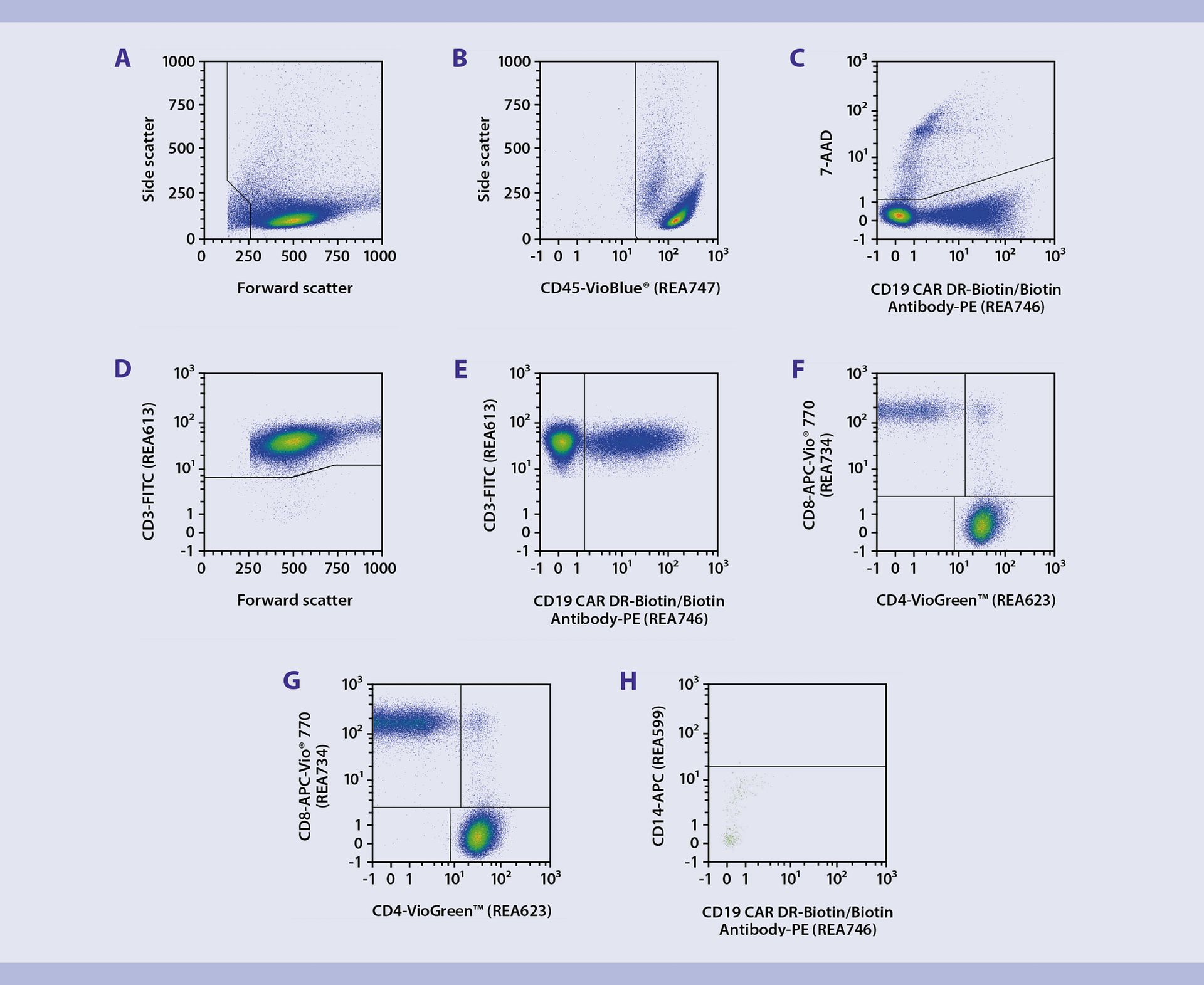 Immunophenotyping | CAR T cell transduction | Protocol | Miltenyi ...