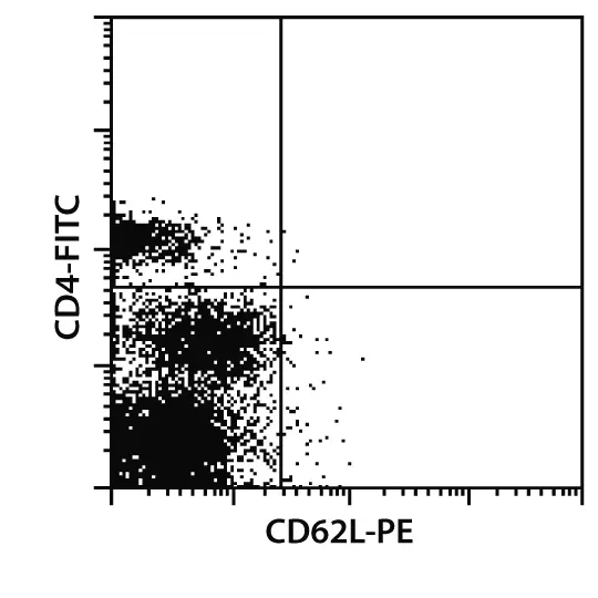 CD4+ T cells (human) | Miltenyi Biotec | Great Britain