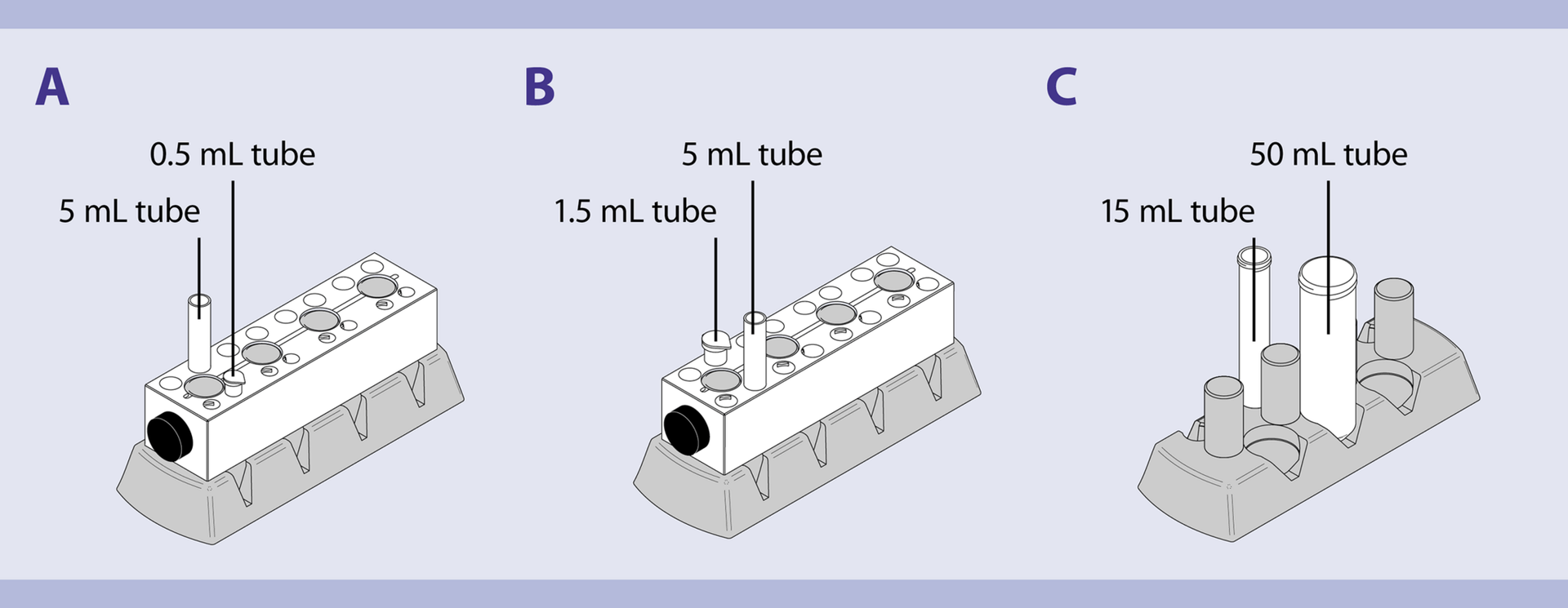 Regulatory T cells | T cell expansion | Protocol | Miltenyi Biotec ...