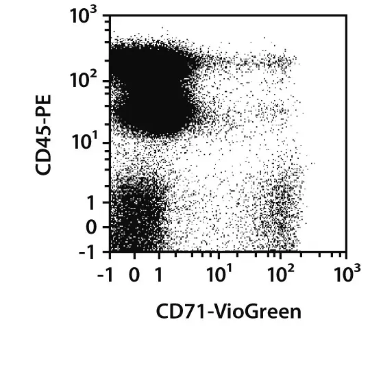 CD71 Antibody, anti-human, REAfinity™ | Miltenyi Biotec | India