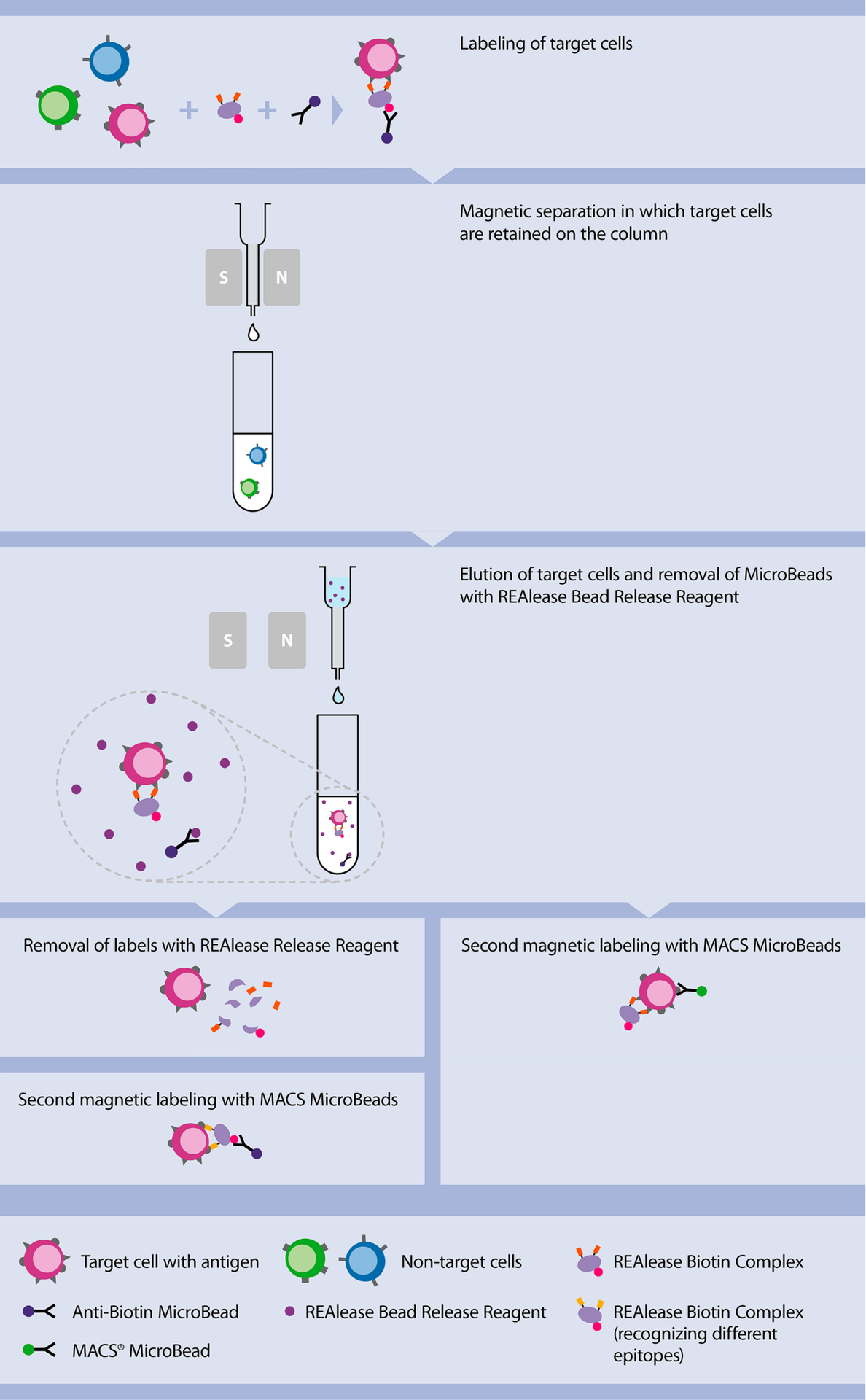 Cell separation strategies using MACS® Technology | Miltenyi Biotec | 대한민국
