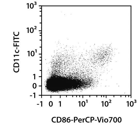 CD86 Antibody, anti-mouse | Hybridomas | MACS Antibodies | Products and ...
