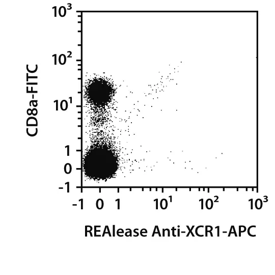 XCR1 Antibody, anti-mouse, REAlease® | Miltenyi Biotec | India