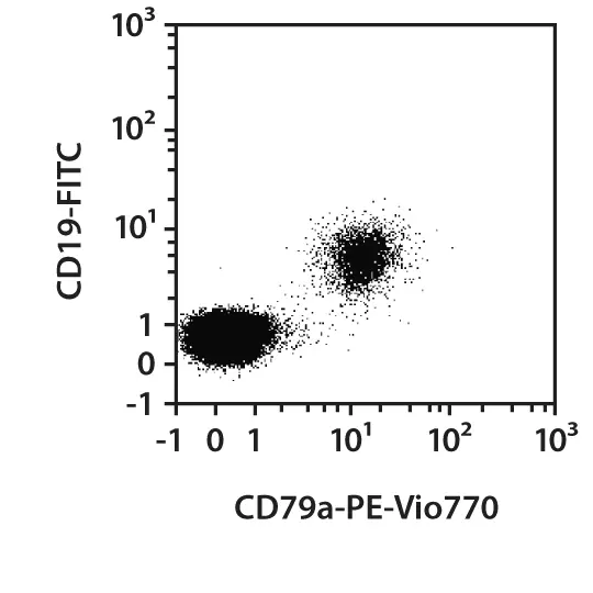 CD79a Antibody, anti-human, REAfinity™ | Miltenyi Biotec | USA