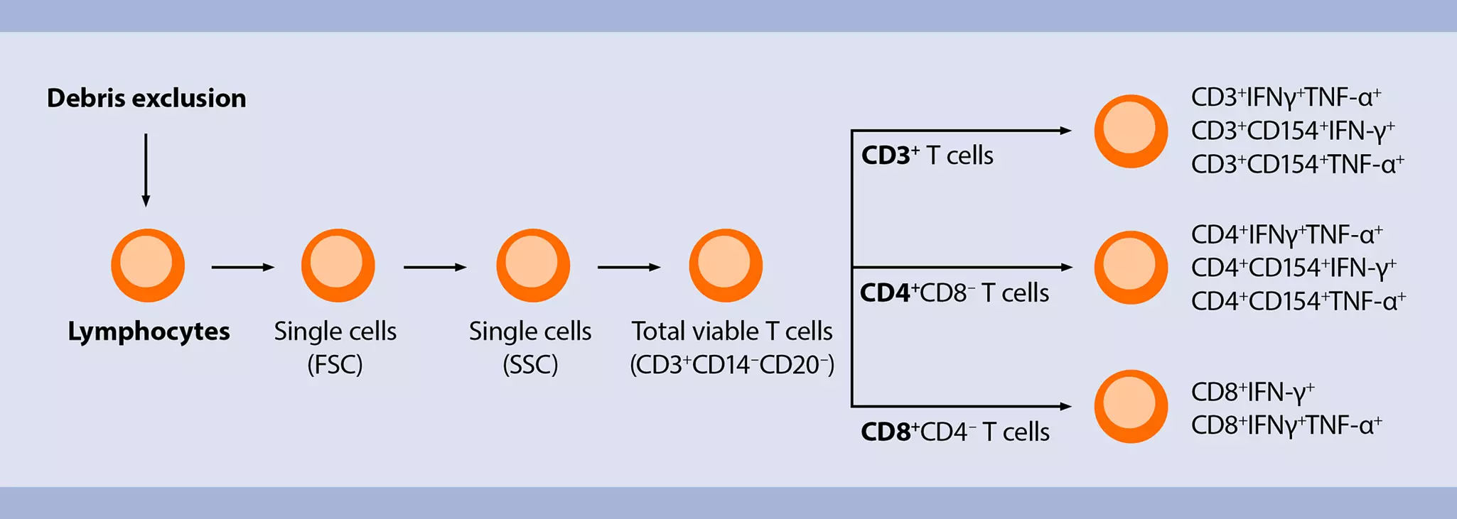 Antigen-specific T Cell Analysis Kit (PBMC), anti-human, REAfinity ...