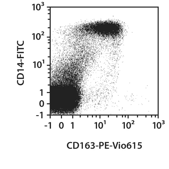 CD163 Antibody, anti-human, REAfinity™ | Miltenyi Biotec | USA