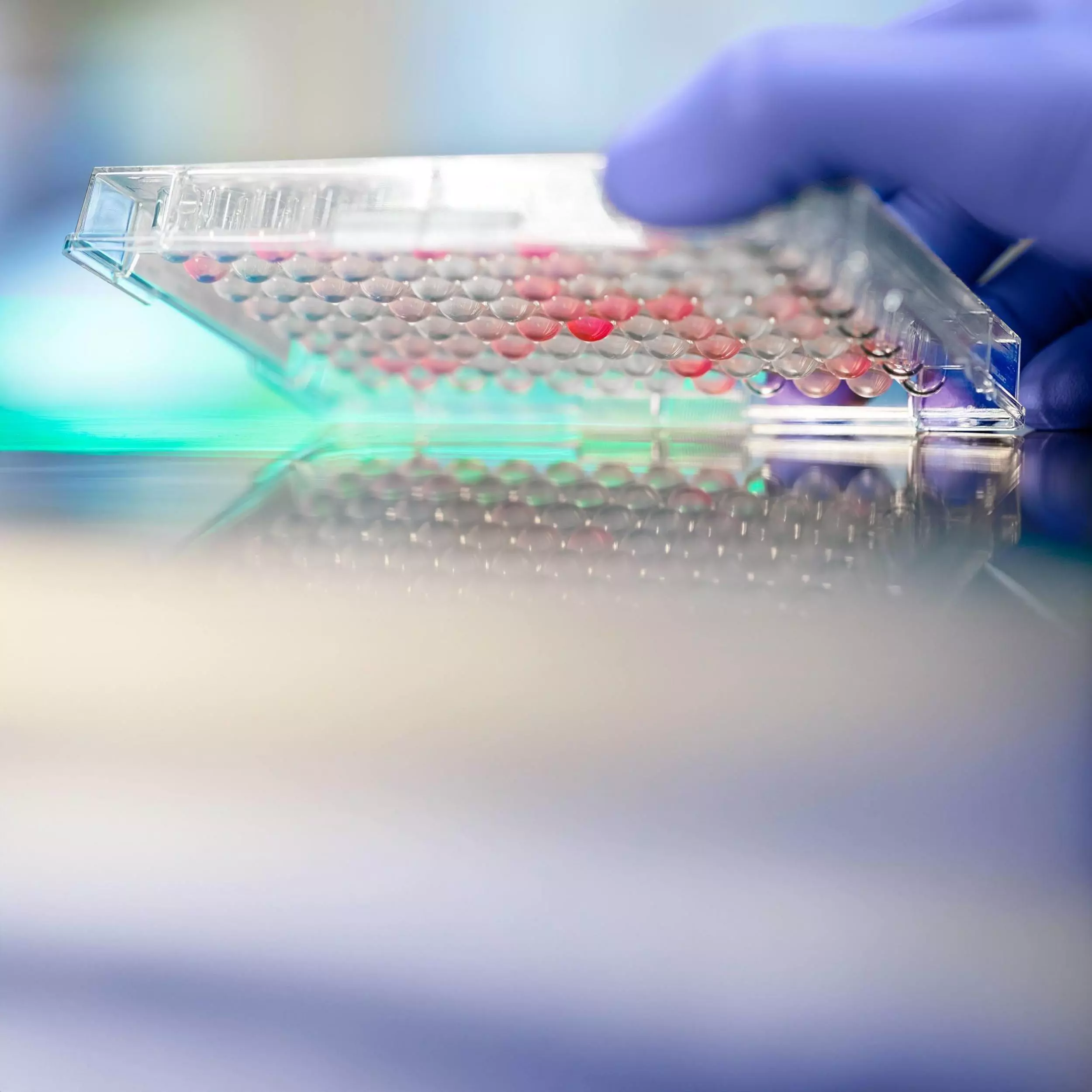 Cell based assays for drug discovery | Immunotherapy | Miltenyi Biotec ...
