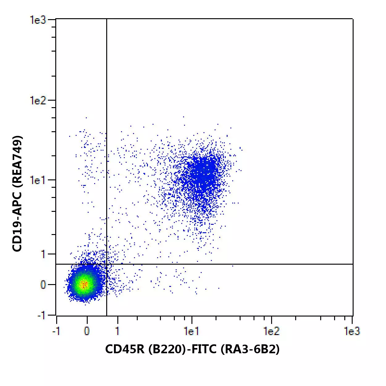 CD45R (B220) Antibody, anti-mouse, REAfinity™ | Miltenyi Biotec | USA