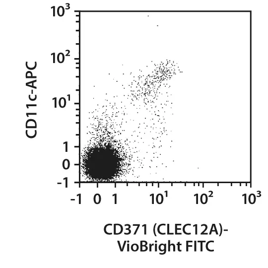 CD371 (CLEC12A) Antibody, anti-mouse, REAfinity™ | Miltenyi Biotec | USA
