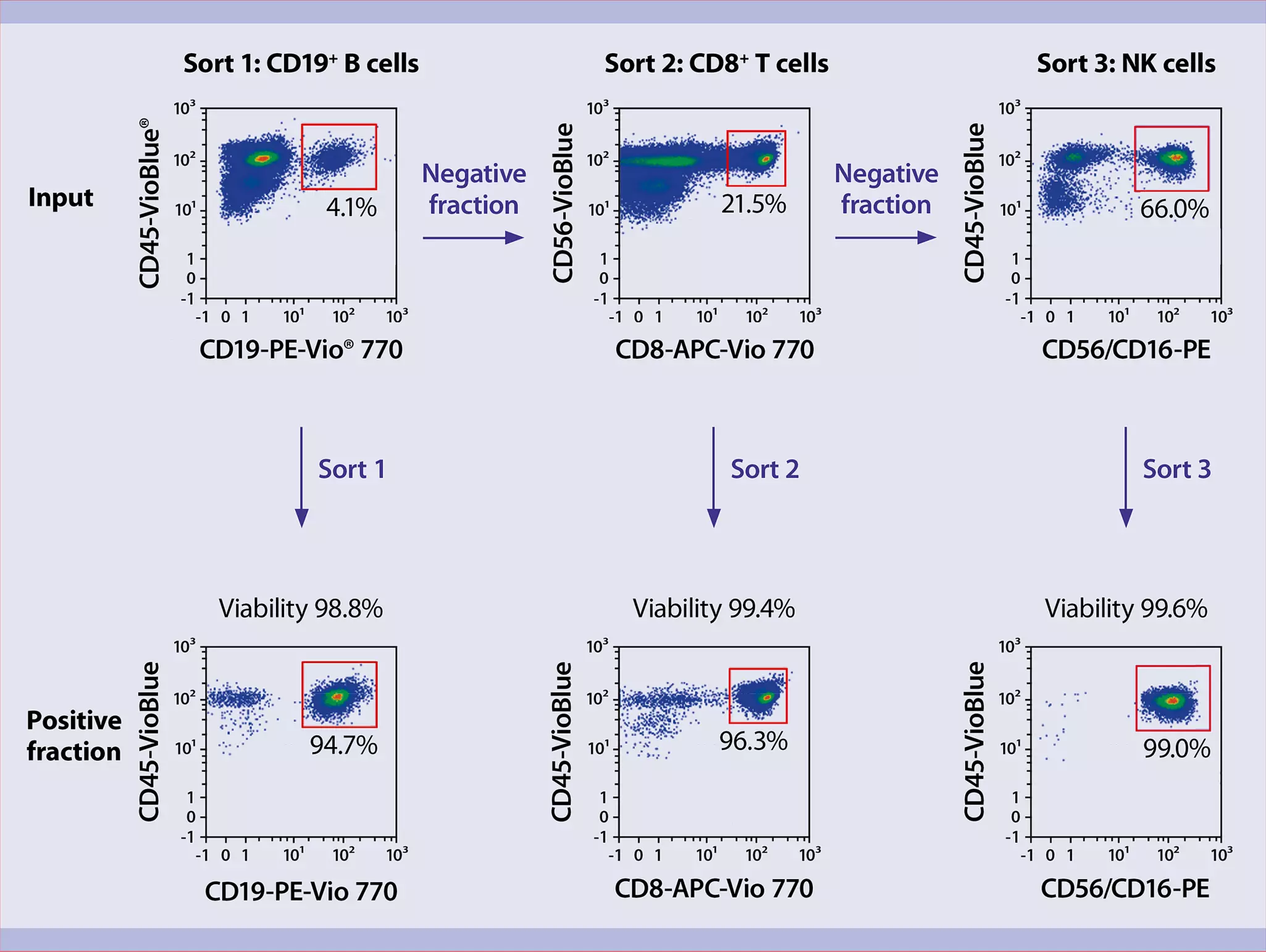 Immune cell sorting | Workflow | MACSQuant® Tyto® | Miltenyi Biotec | 中国