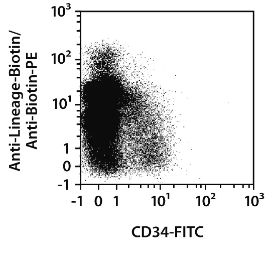 CD34 Antibody, anti-mouse, REAfinity™ | Miltenyi Biotec | USA