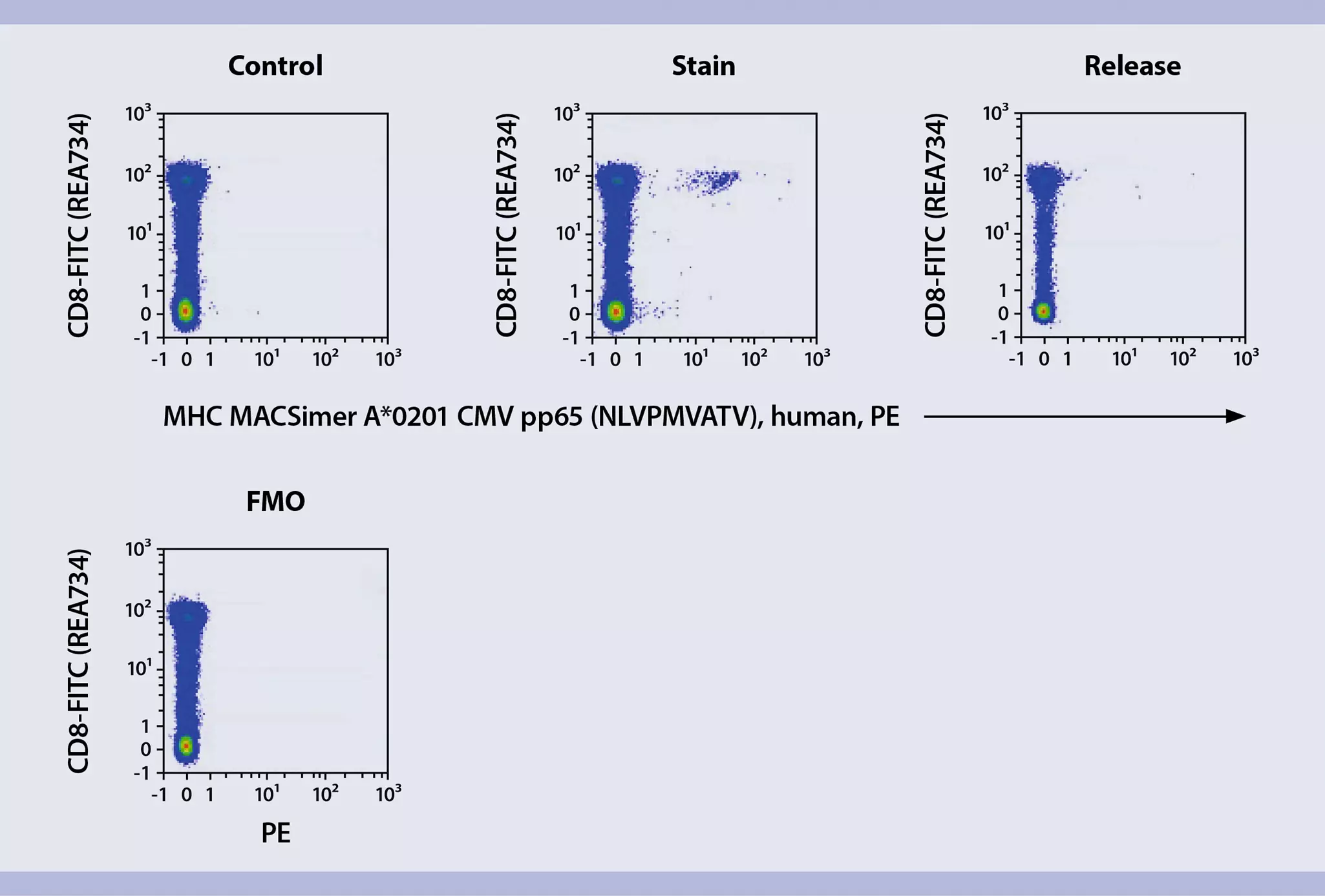 MHC MACSimer A*0201 EBV LMP2a (FLYALALLL), human | Miltenyi Biotec ...