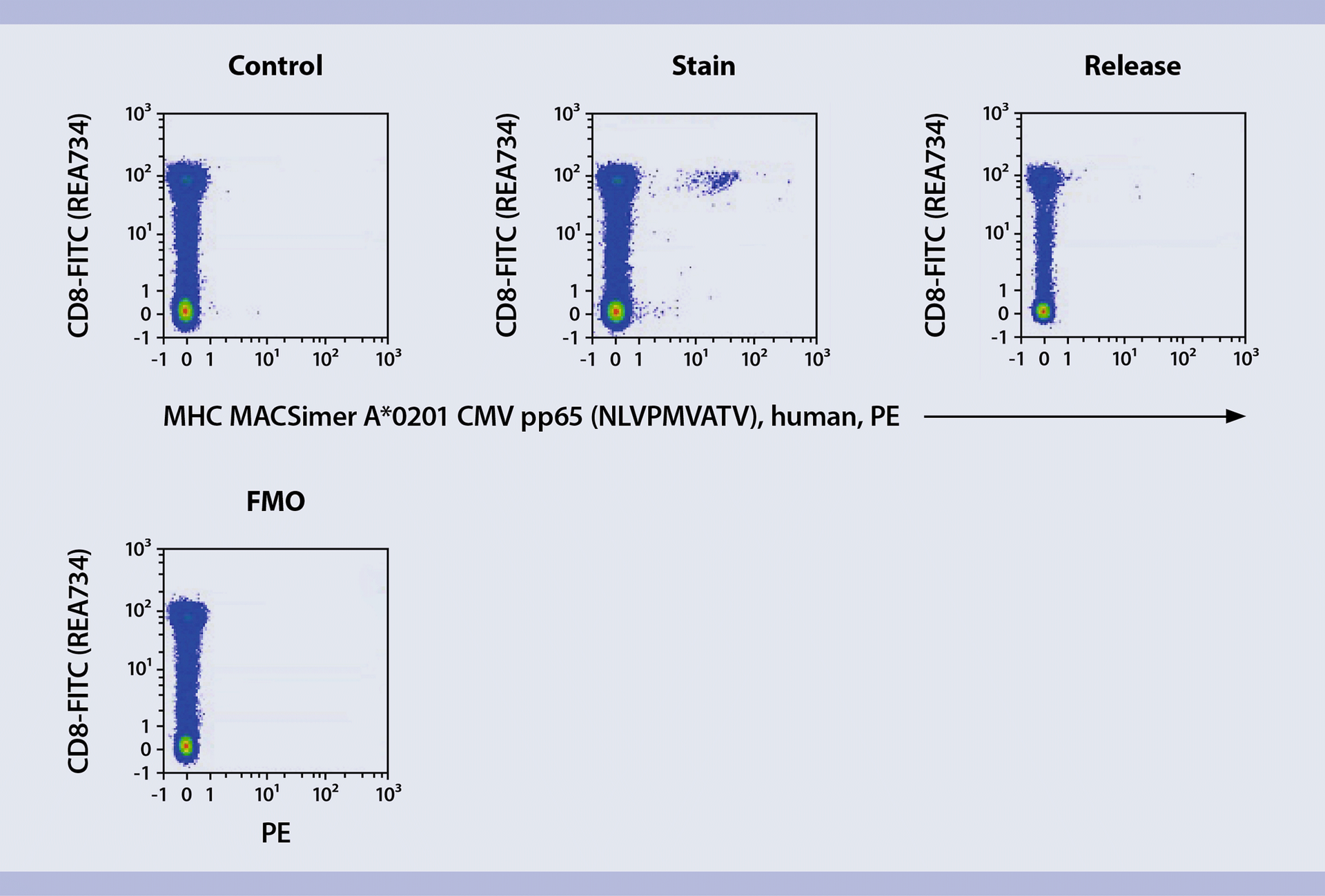MHC multimers | TCR T cell therapy | Miltenyi Biotec | Lëtzebuerg