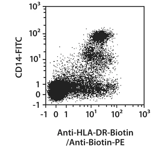 HLA-DR Antibody, anti-human | Miltenyi Biotec | Great Britain