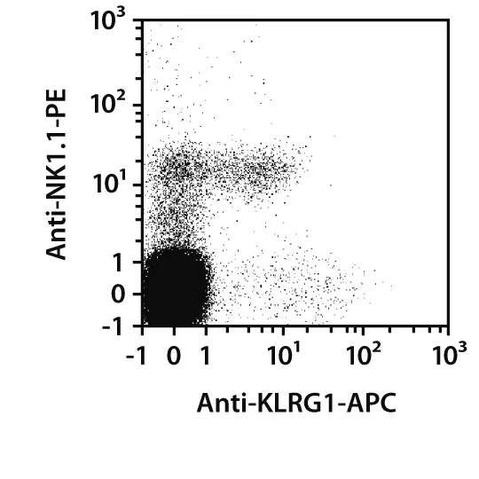 KLRG1 Antibody, anti-mouse, REAfinity™ | Miltenyi Biotec | India
