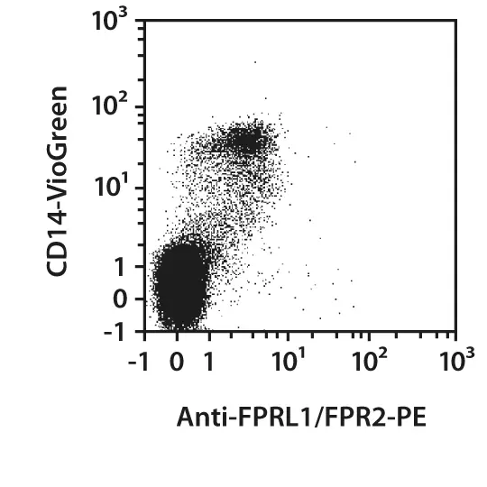 FPRL1/FPR2 Antibody, anti-human, REAfinity™ | Miltenyi Biotec | USA
