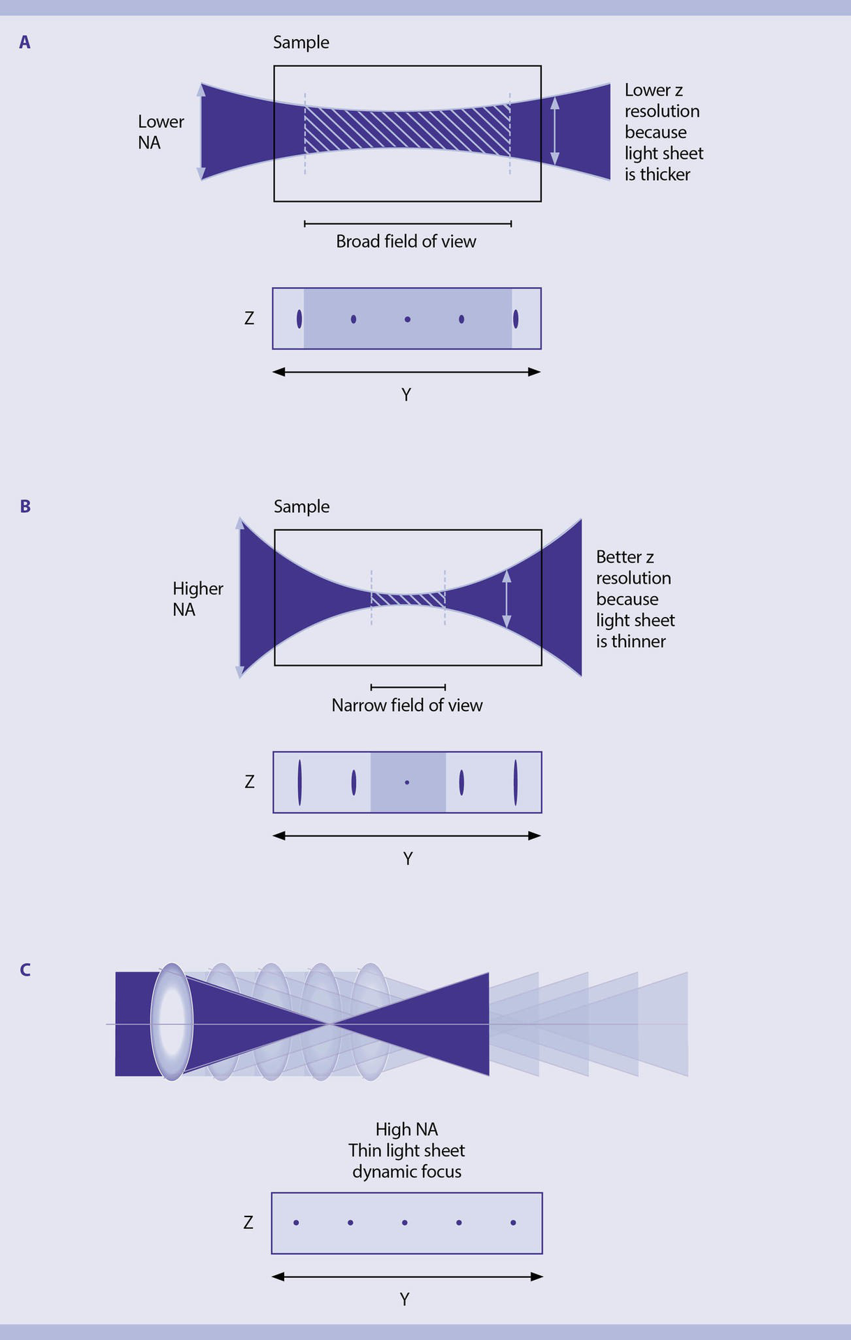 UltraMicroscope Choros™ | Miltenyi Biotec | Canada