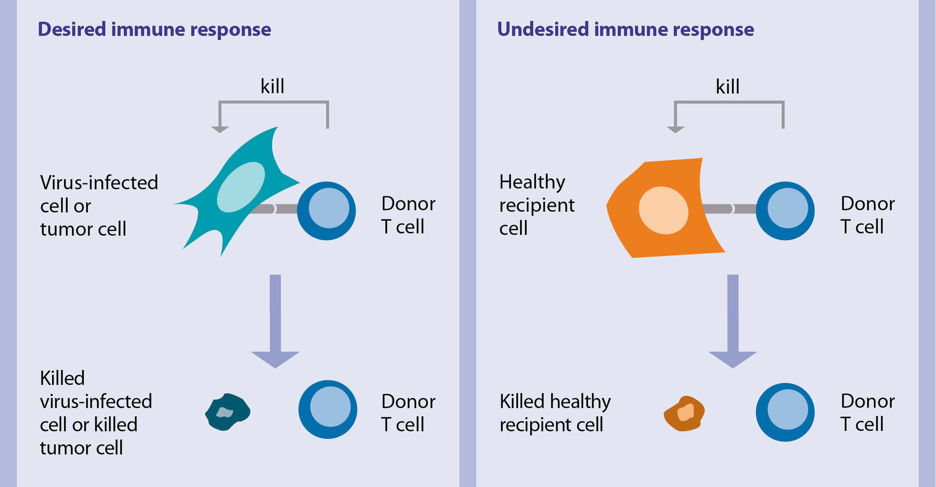 What is GvHD? | Miltenyi Biotec | भारत