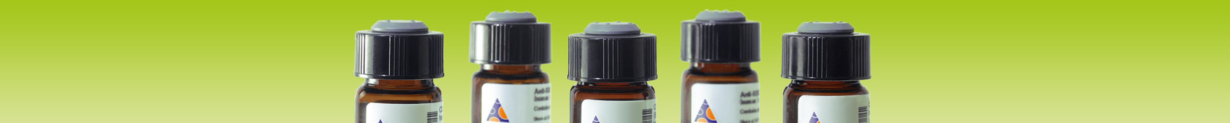 Buffers and beads | MACS® Flow Cytometry Kits and support reagents ...