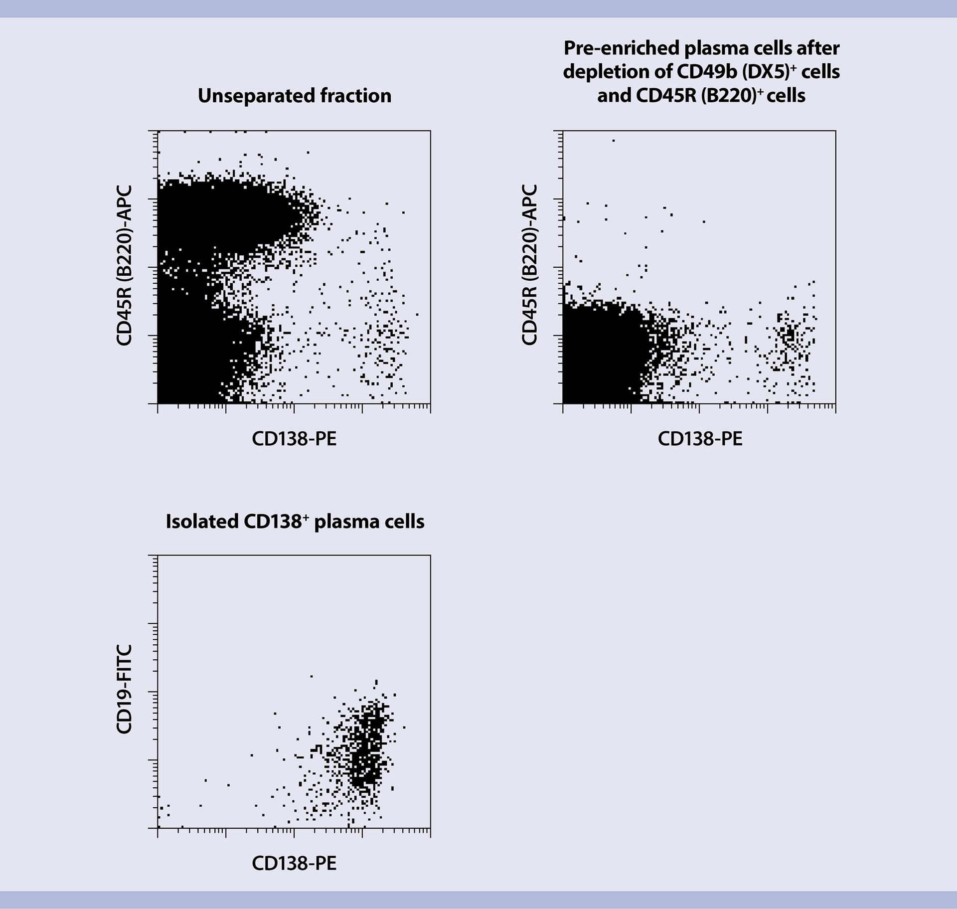 B cells (mouse) | Miltenyi Biotec | 日本